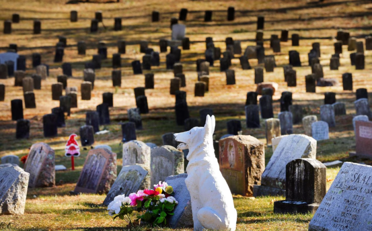 Pet Cemeteries: The Influence Of Customized Monuments
