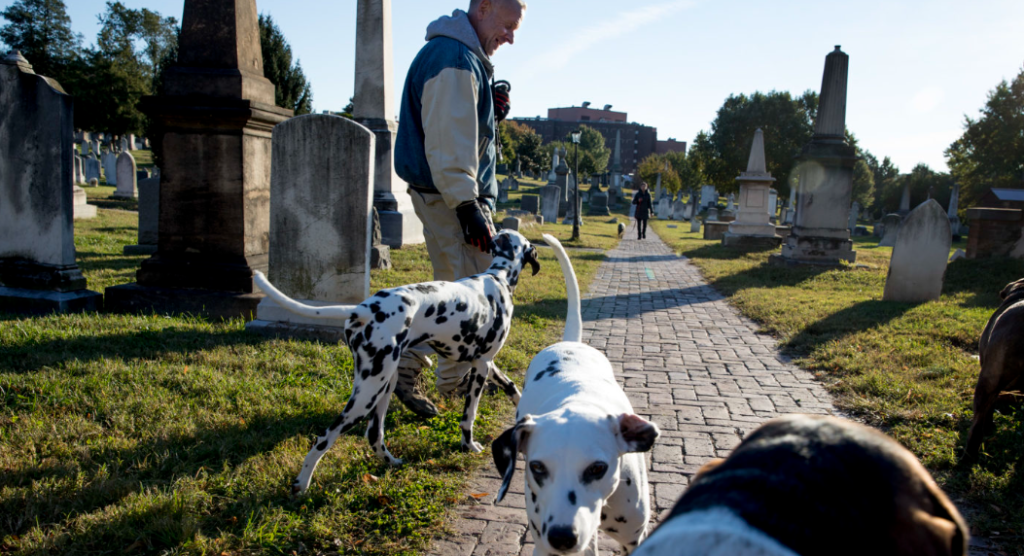 Adorable Pet Cemetery Monuments That Will Lift Your Spirits